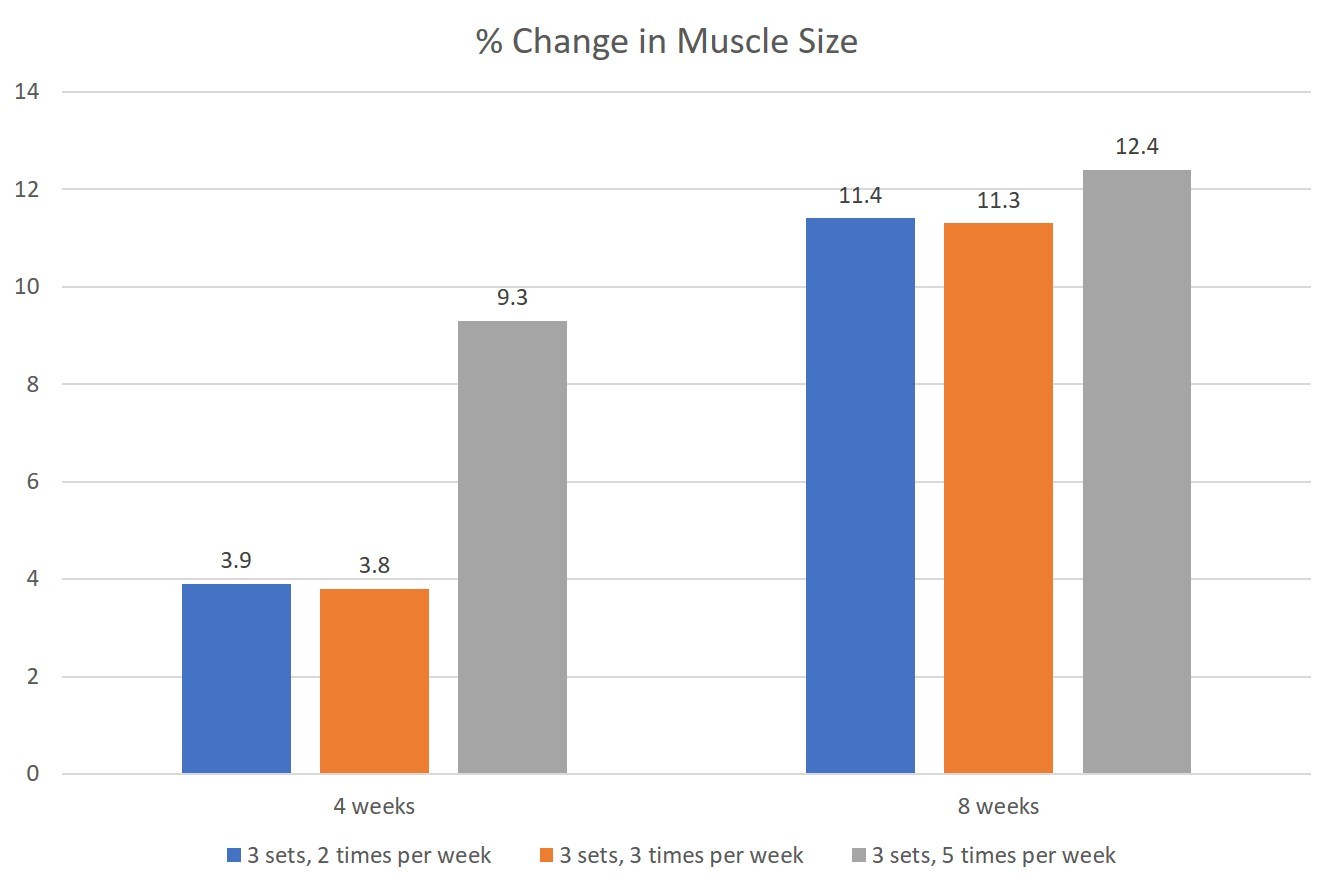 Set Volume for Muscle Size: The Ultimate Evidence Based Bible – Weightology
